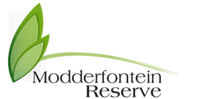 Modderfontein Nature Reserve - Gauteng